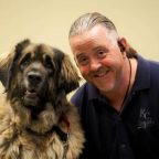 I love this Article (Please Read) - K.I.S.S. Dog Training